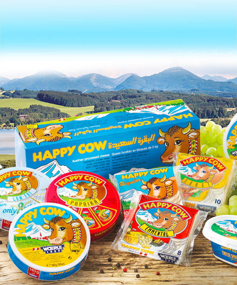 Grocery Delivery in Sri Lanka | Stassen Foods