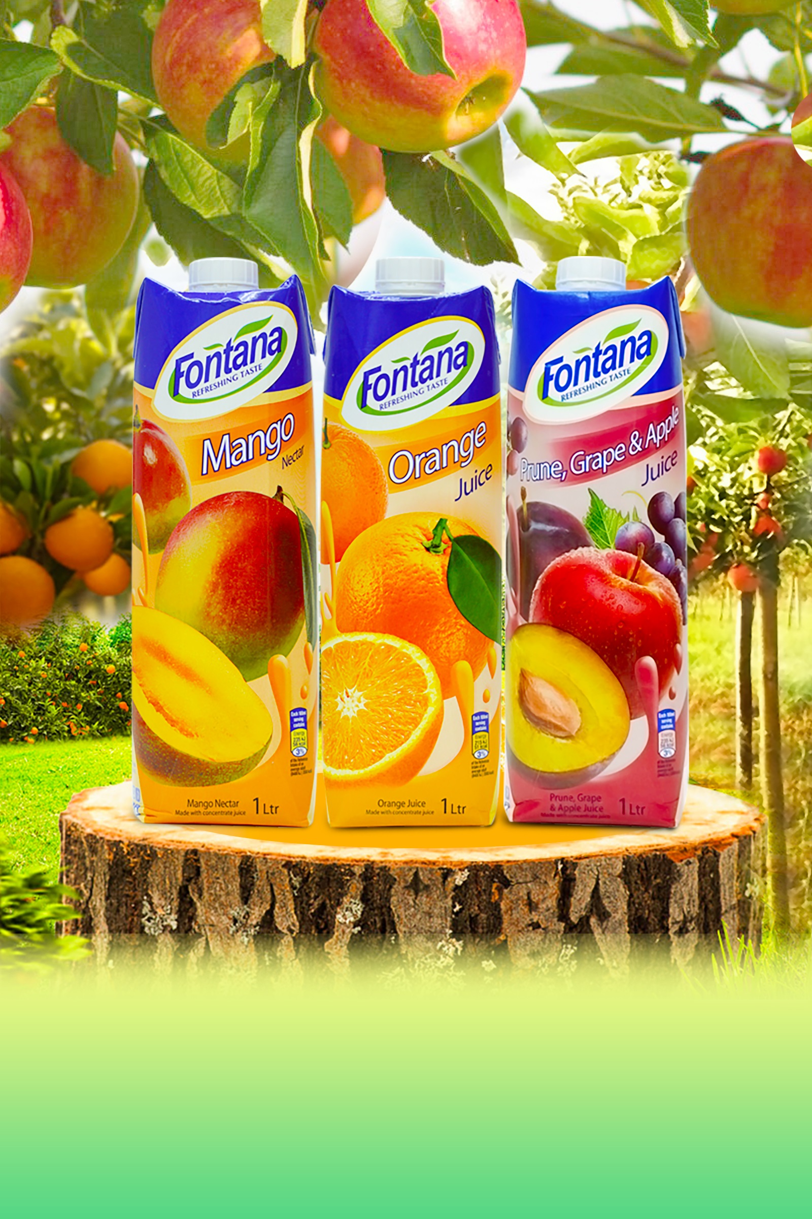 Grocery Delivery in Sri Lanka | Stassen Foods